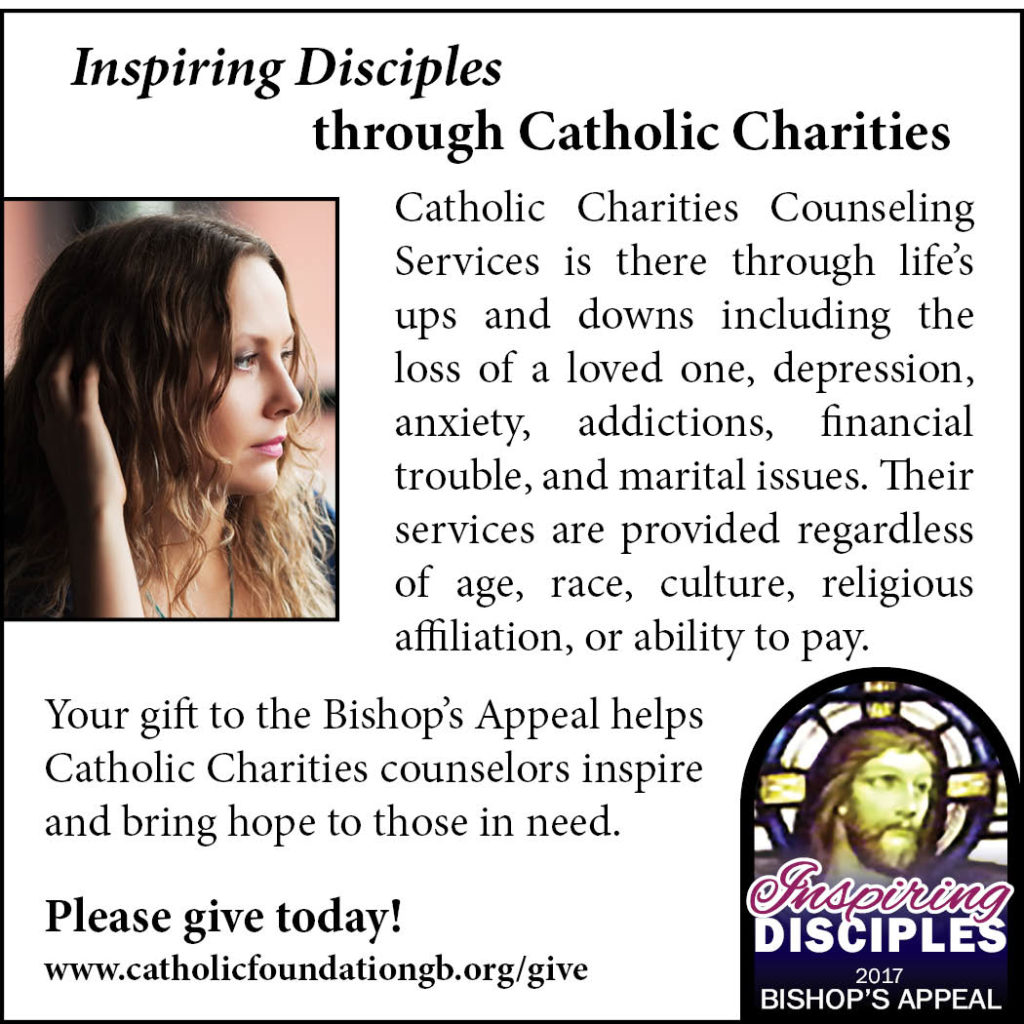 BA17 Mini Story - 1 Catholic Charities - Catholic Foundation - Green ...